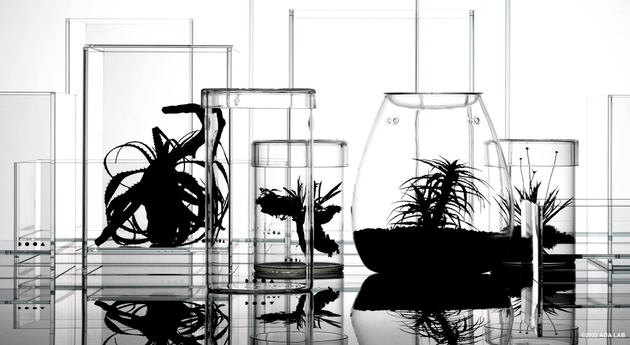 ADA LAB | Aqua Design Amano Laboratory – ADA LABは、ガラスケースとLEDで植物を育てる＜パルダ ...