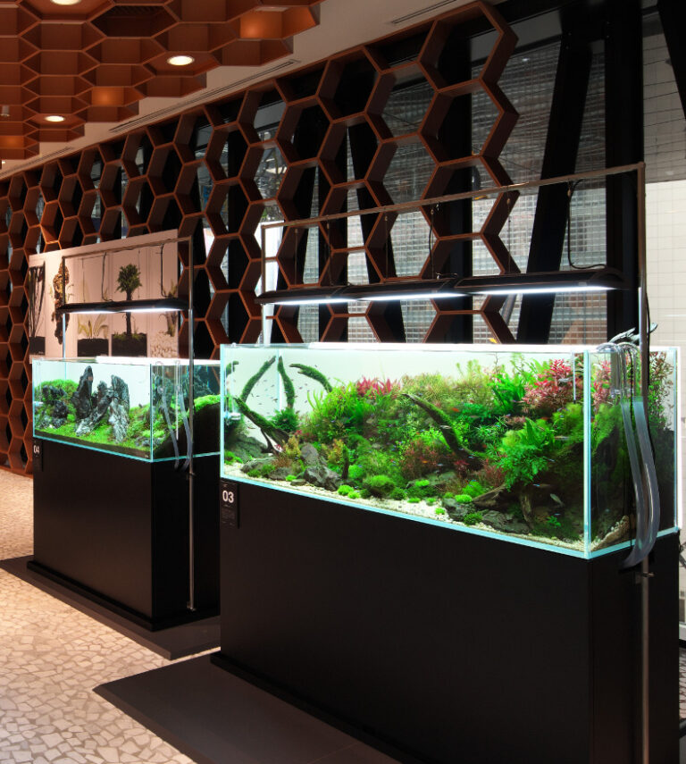 SERVICE&MAINTENANCE – ADA LAB | Aqua Design Amano Laboratory