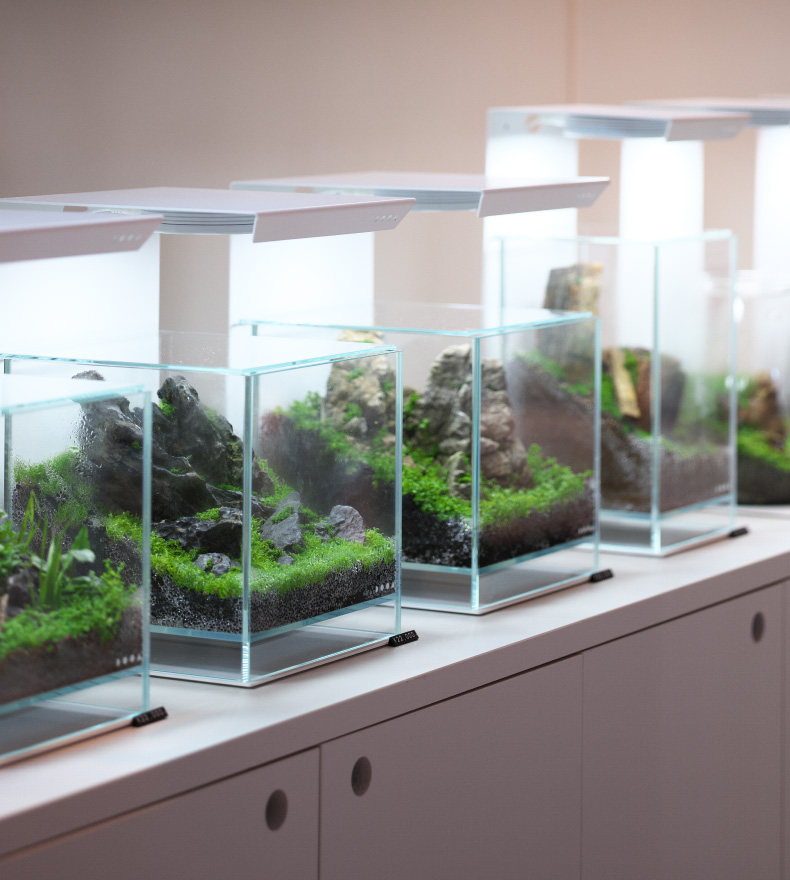 SERVICE&MAINTENANCE – ADA LAB | Aqua Design Amano Laboratory