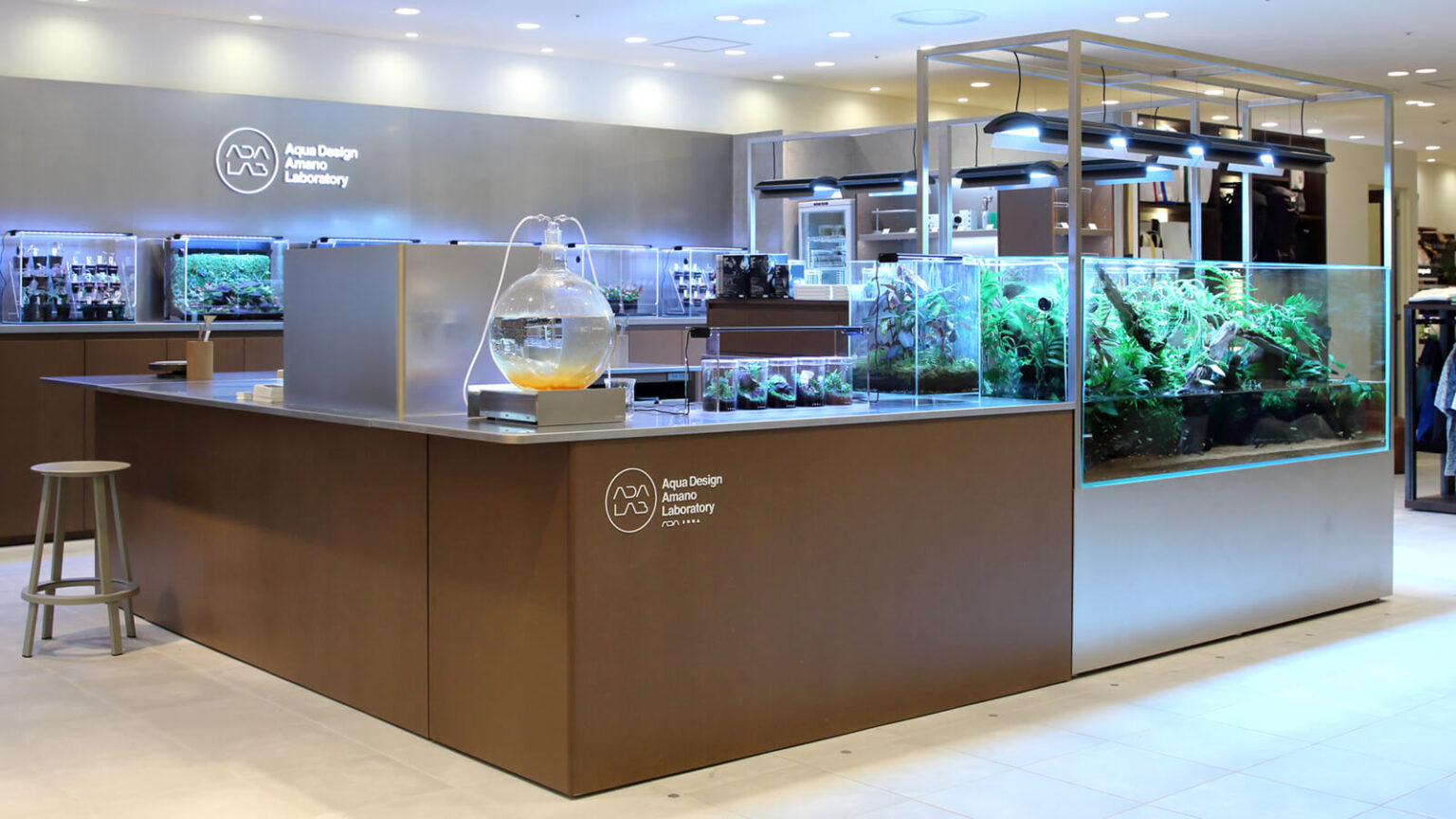 UMEDA – ADA LAB | Aqua Design Amano Laboratory