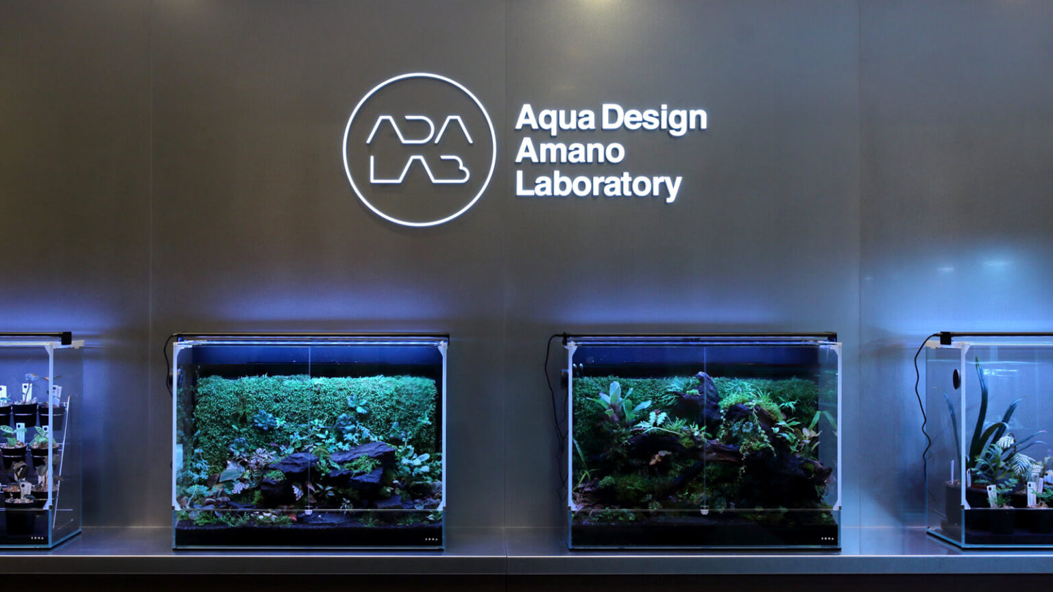 UMEDA – ADA LAB | Aqua Design Amano Laboratory