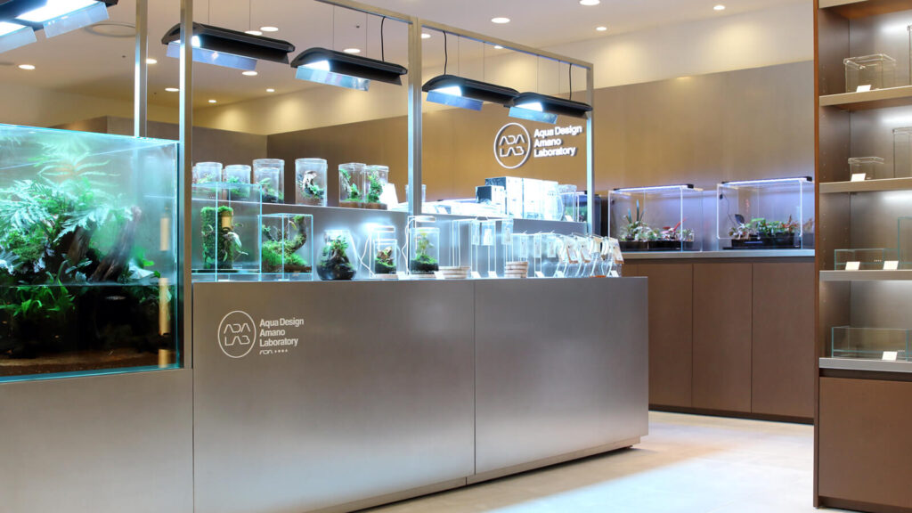 UMEDA – ADA LAB | Aqua Design Amano Laboratory