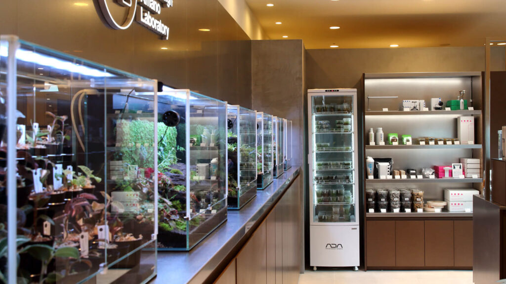 UMEDA – ADA LAB | Aqua Design Amano Laboratory